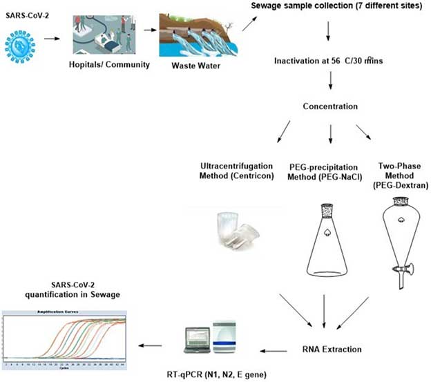 Enterovirus Division – National Centre for Disease Control (NCDC)